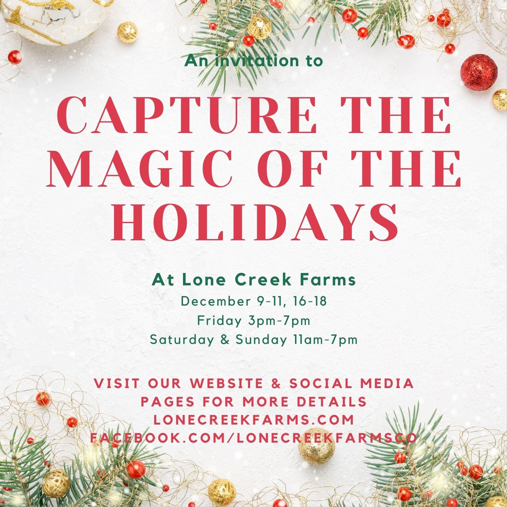 Capture the Magic of the Holidays Event – Lone Creek Farms